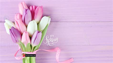 Spring Screensavers For Desktop Spring Desktop Wallpaper Flower