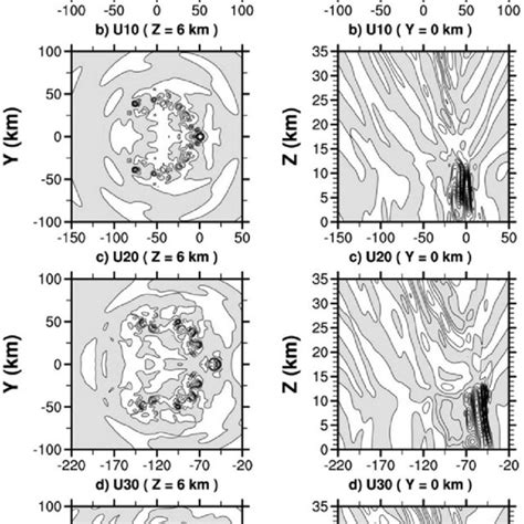 Perturbation Vertical Velocity Fields In The Control Simulations For