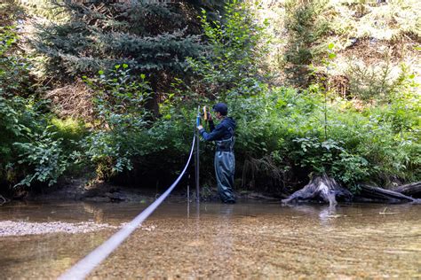 Working Together To Map Chinook Salmon Habitat And Identify Thermal