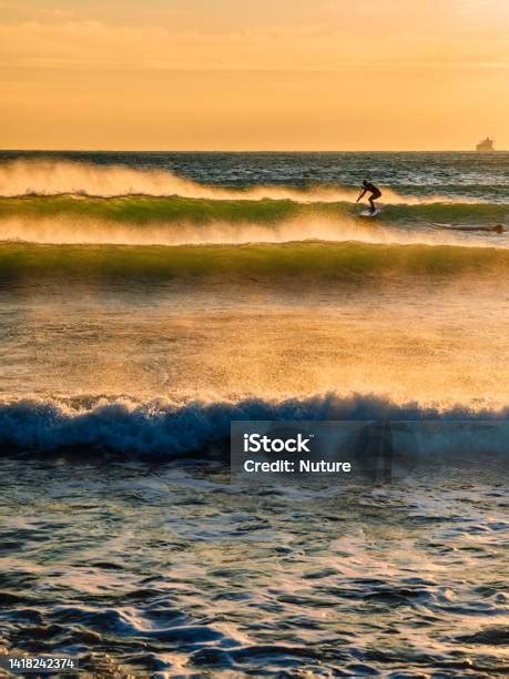 파도에 바다에서 서핑 패들 일몰의 따뜻한 색조와 바다 파도에 서퍼 서핑 수상 스포츠에 대한 스톡 사진 및 기타 이미지 서핑 수상 스포츠 일몰 해변 Istock
