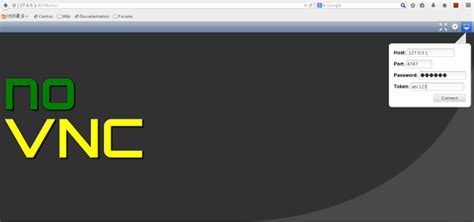 Novnc的使用之二在django中集成novnc Vosamo