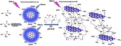 Schematic Illustration Of The Sensitive Fluorescence Detection Of