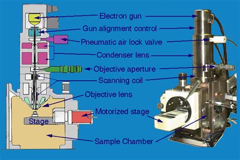 20 Schematic Of An Sem Taken From Download Scientific Diagram