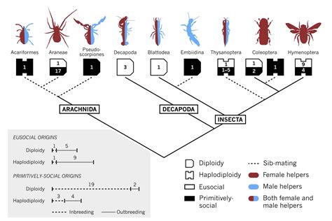 New Paper Ecology Of Sex Explains Patterns Of Helping In Arthropod Societies Andy Gardner