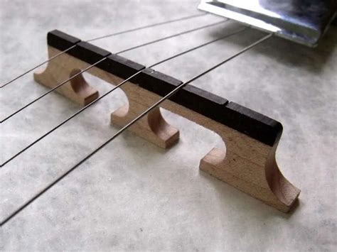 Beginners 5 String Banjo Course Waltons New Babe Of Music