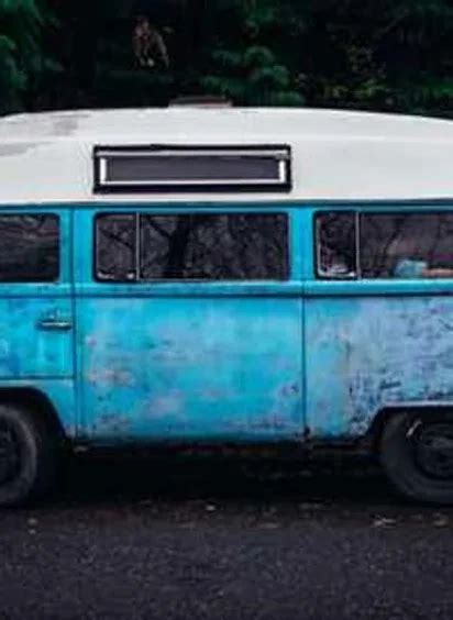 향기로운 허브식물 실내에서 건강하게 키우는 법