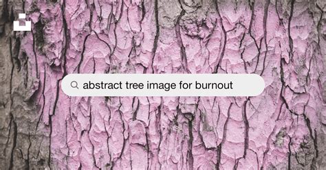 Abstract Tree Image For Burnout Pictures Download Free Images On Unsplash
