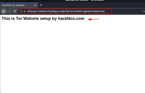 Unlocking The Secrets Of The Dark Web Onion A Beginner S Guide
