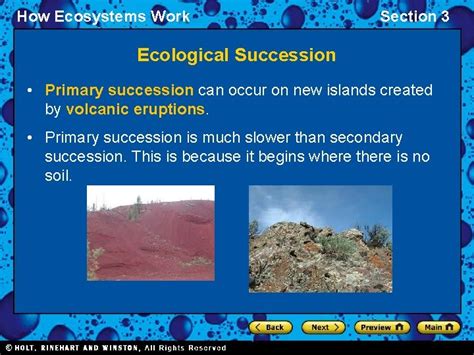 How Ecosystems Work Section Chapter How