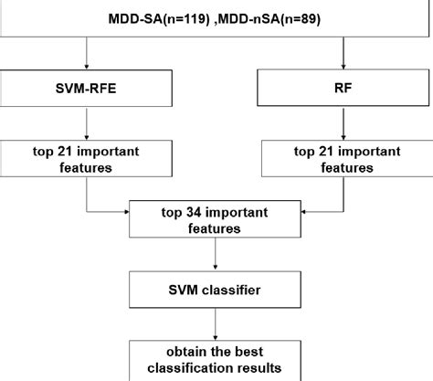 Figure From A Multimodal Prediction Model For Suicidal Attempter In Major Depressive Disorder