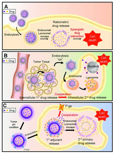 Schematic Illustration Of Various Spatiotemporal Types Of Combinatorial