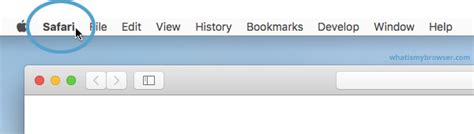 enable javascript on safari