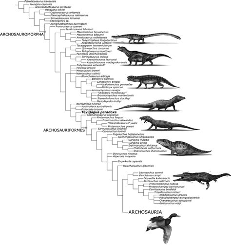 strict consensus tree recovered by heuristic analysis of the dataset of