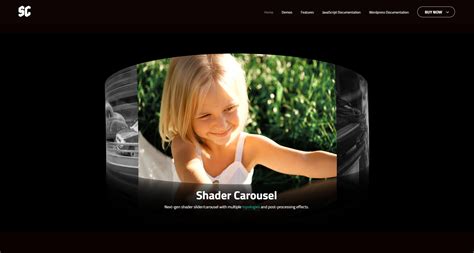 3d Carousel In Threejs Questions Threejs Forum