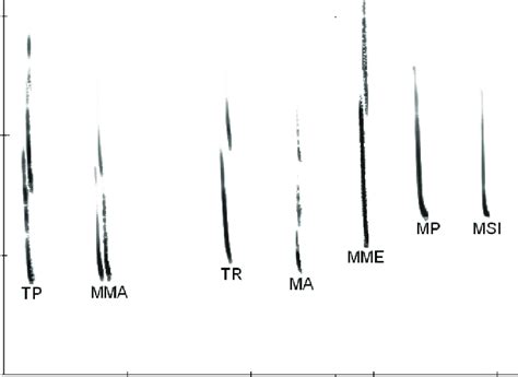 Spectrograms Of Representative Species Emitting Narrowband Echolocation