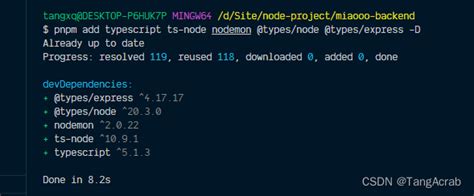 一步步搭建基于 Ts Express Prisma Mongodb Zod 后端服务