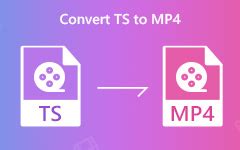 Complete Guide How To Convert VLC Files To MP4 For Free