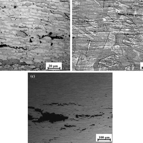 Om Analysis Of The Impacted Cross Sections Of Targets Elongated Grains Download Scientific