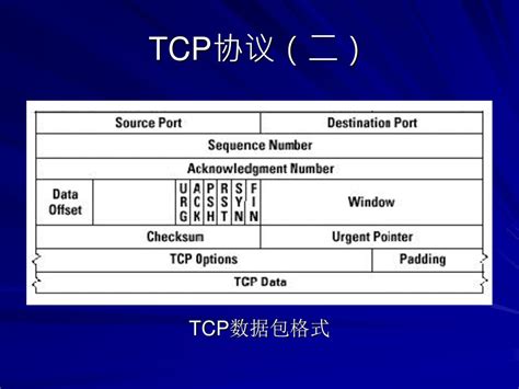 网络扫描器的原理与分析 袁 治 20191 Ppt Download