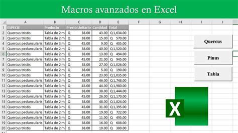 Crear Macros En Excel Paso A Paso YouTube