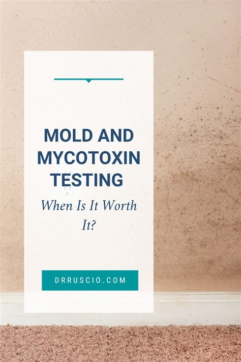 Mold And Mycotoxin Testing When Is It Worth It Artofit