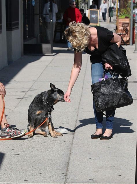 Katherine Heigl Sexy 7 Photos Thefappening