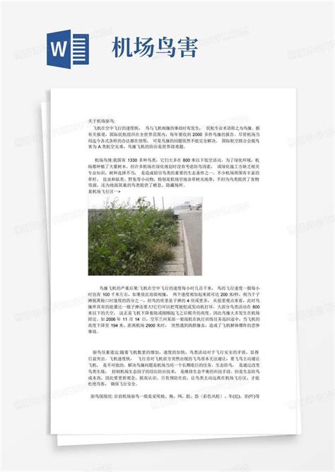机场鸟害 Word模板下载 编号qgaxpxyn 熊猫办公