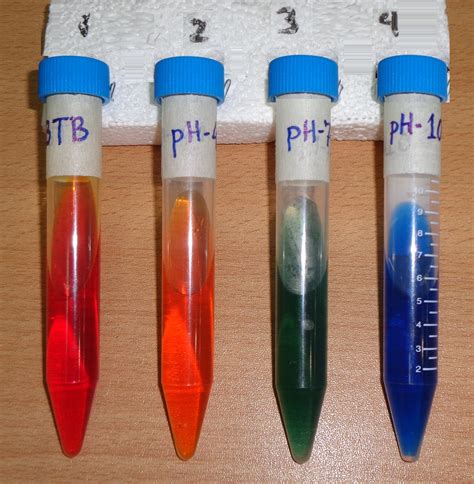 What Is The Original Color Of Bromothymol Blue Btb