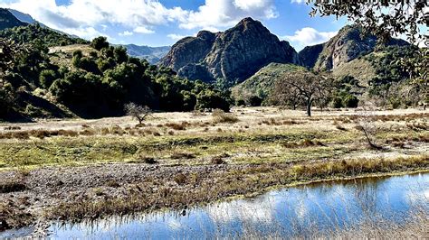 Director Photographer Shawn Frederick