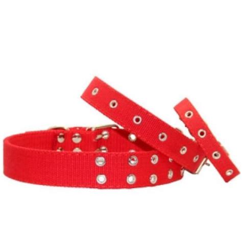 Нашийник для собак брезентовий одинарний ширина 45мм довжина 44 57 см червоний купити онлайн