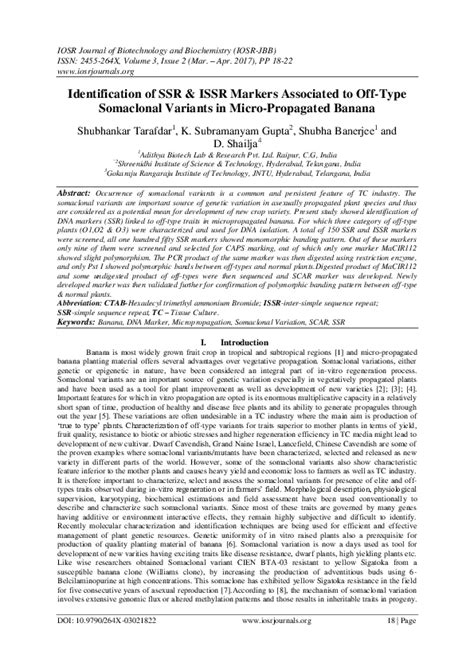 Pdf Identification Of Ssr And Issr Markers Associated To Off Type