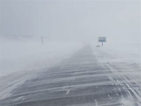 Арваннэгдүгээр сарын 14 15 нд ихэнх нутгаар цас орж цасан шуурга шуурна