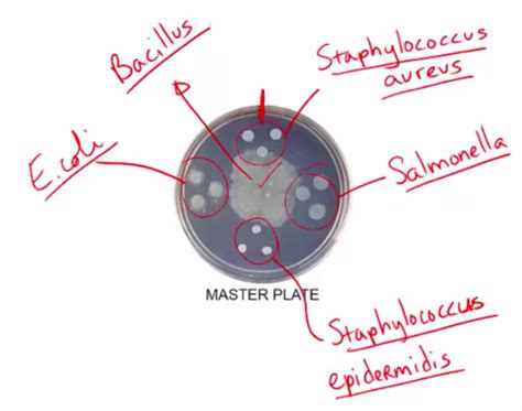 Subtopic Producing Recombinant DNA Flashcards Quizlet