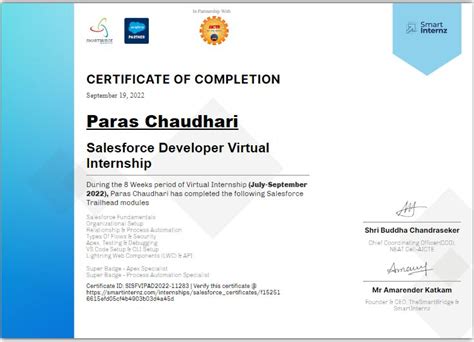 Salesforce Supported Virtual Internship Smartinternz Salesforce