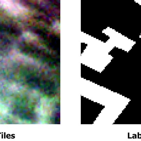 1 Example Of Tile Image Data And Digitised Tile Labels Used For The