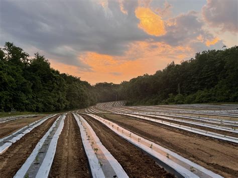 Georgias First Hemp Testing Lab Hempfarmercbd