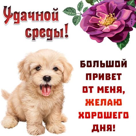 Открытка Удачной Среды