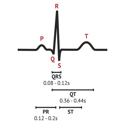 Normal Range Ecg Normal Values Printable Templates Protal