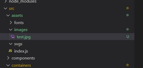 Reactjs Not Able To Load Images Using Webapck React Stack Overflow