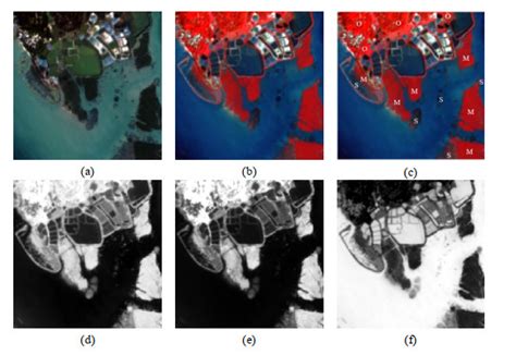 Ssmm Ds A Semantic Segmentation Model For Mangroves Based On Deeplabv3 With Swin Transformer