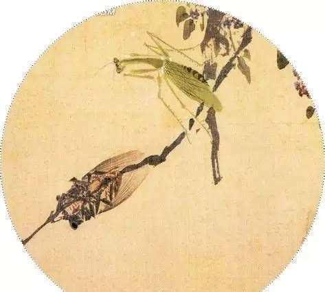 十八首蝉诗配十八幅齐白石笔下那薄如蝉翼的夏天 一蝉一世界 早蝉 蝉 新蝉 新浪新闻