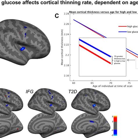 A Significance Map Of The Interaction Between Age And Plasma Glucose