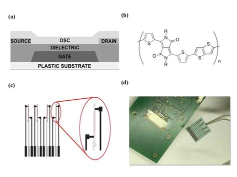 A Schematic Representation Of Bgbc Ofet Used Herein B Organic Download Scientific Diagram