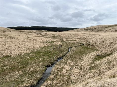 Trysor On Linkedin To Celebrate 20 Years Of Trysor We Intend To Revisit Important Or…