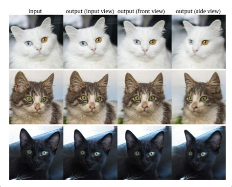 Nvidia Offers Real Time Neural People Through A Nerf And Gan Pipeline