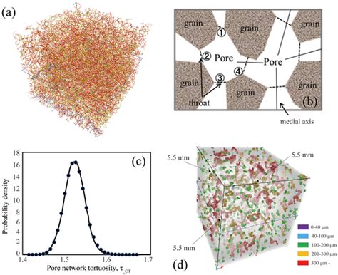 illustrations of x‐ray computed tomography ct analysis a medial