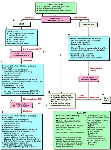 Pin By Austin Turnbull On Paramedic Pediatric Nursing Nurse