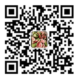 酸野利润 酸野 酸品 酸嘢店加盟利润成本多少钱 酸益点酸野