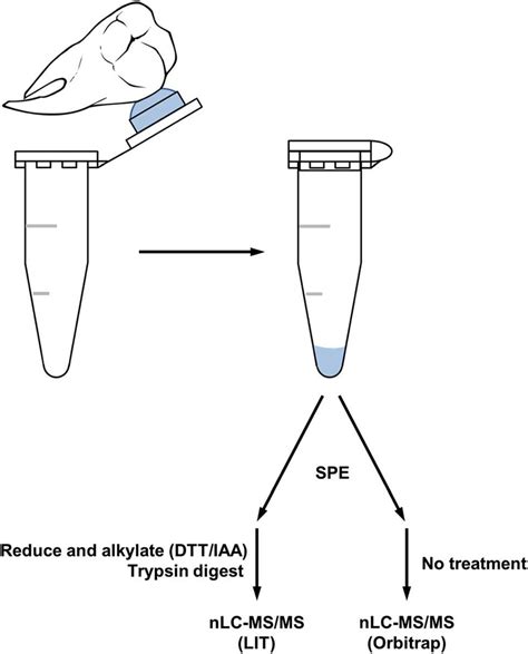 Workflow Of The Acid Etch Method For Extracting Peptides From Surface