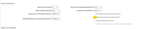 How To Return A Released Serial Number To A Rework Work Order With